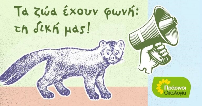 Ευζωία για τα ζώα, φρένο στην εντατική κτηνοτροφία - PRASINOI-Oikologia