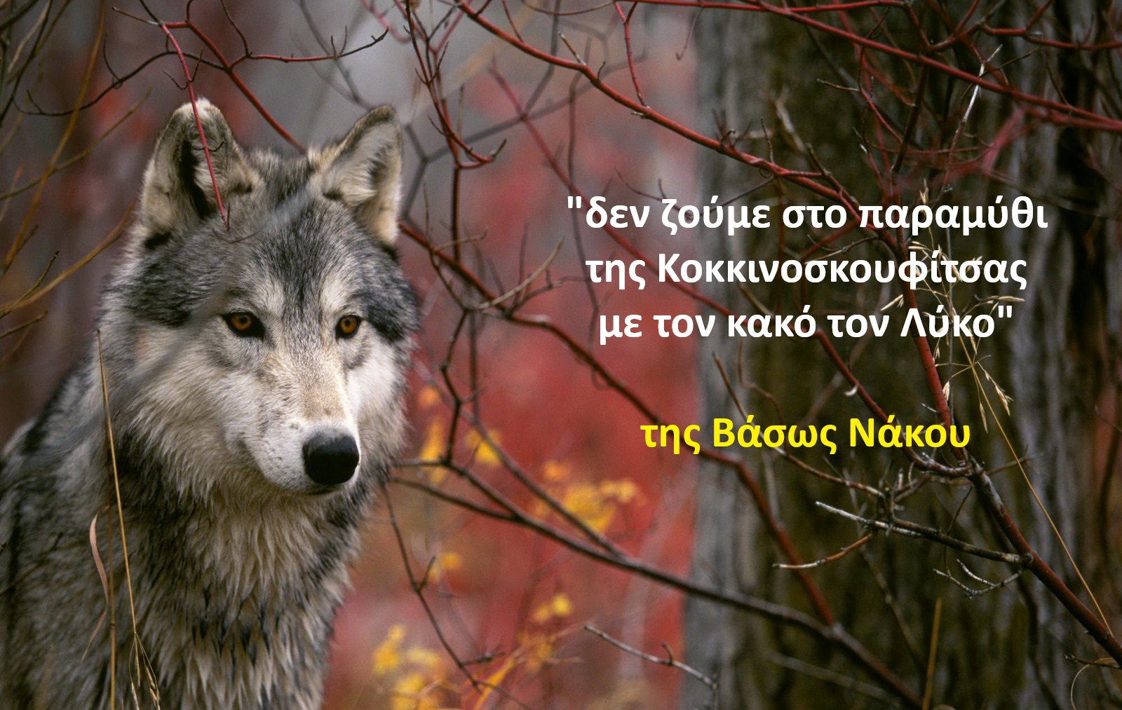 Ο Λύκος ως διαχρονικό άλλοθι για αντιοικολογικές ρητορικές - PRASINOI ...
